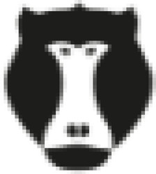Pixel head of baboon monkey Royalty Free Vector Image