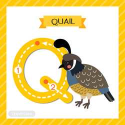 Letter Q Flash Card Vector Images (87)