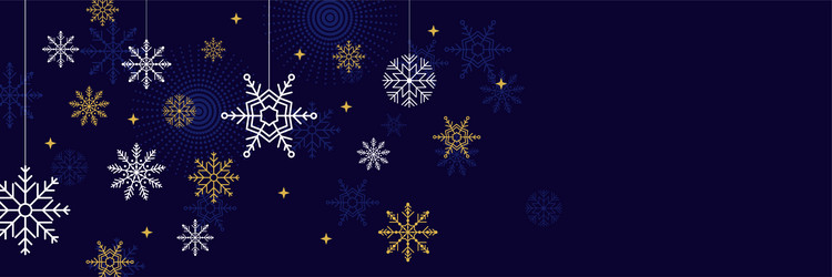 Elegant christmas banner wallpaper with frosty Vector Image