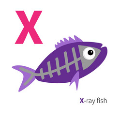 Alphabet x with x-ray fish Royalty Free Vector Image