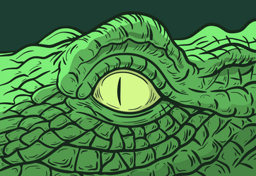 Crocodile Gator Eyes Vector Images (78)