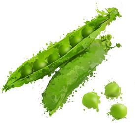 Green peas in a pod Royalty Free Vector Image - VectorStock