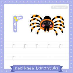 Letter s uppercase tracing practice worksheet Vector Image