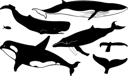 Emblem with black whale Royalty Free Vector Image