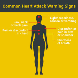 Common heart attack warning signs design Vector Image