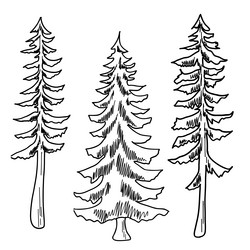 Forest tree line set of graphics trees elements Vector Image