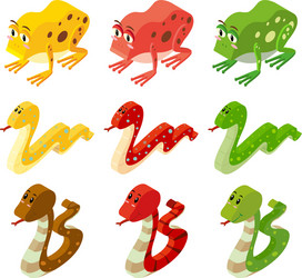 Amphibians snakes and lizards frogs iguana Vector Image