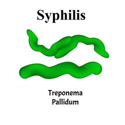 Syphilis spirochaete treponema gonococcus Vector Image