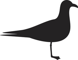 Seagull Royalty Free Vector Image - VectorStock
