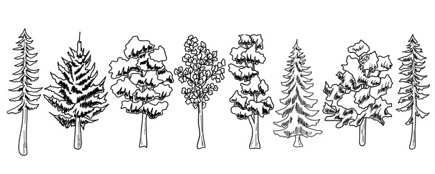 Forest tree line set of graphics trees elements Vector Image