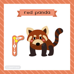 Letter r vocabulary standing red panda with bamboo