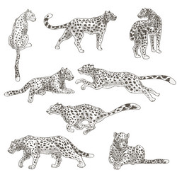 Cat Running Vector Images (over 2,800)