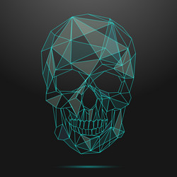Skull drawing line work Royalty Free Vector Image