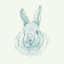 Vintage hand drawn bunny face sketch Royalty Free Vector