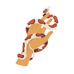 Snake bite hand traditional snake handshake Vector Image