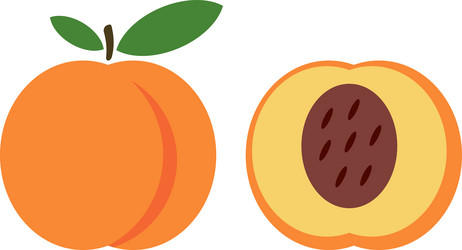 Peach icon Royalty Free Vector Image - VectorStock