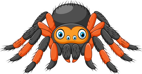 Cartoon spider on cobweb Royalty Free Vector Image