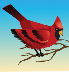 Red cardinal bird on a white background Royalty Free Vector