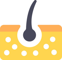 Hair follicle Royalty Free Vector Image - VectorStock