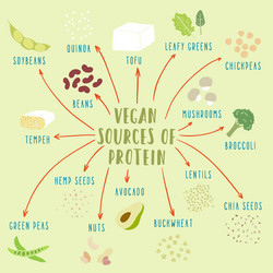 Plant Based Vector Images (over 4,400)