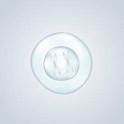 Ova Vector Images (98)