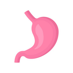 Stomach collection in different state healthy Vector Image