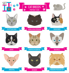 Cat breeds icon set flat style Royalty Free Vector Image
