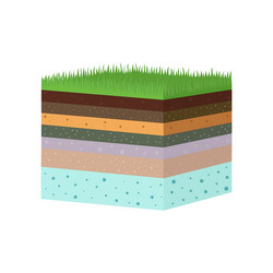 Soil layers diagram with grass and ground texture Vector Image