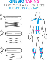 Kinesio taping Royalty Free Vector Image - VectorStock