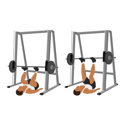 Man doing seated machine leg extensions exercise Vector Image