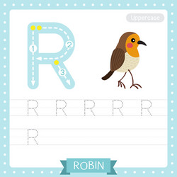 Letter r tracing walking robin bird Royalty Free Vector