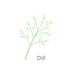 Dill plant pattern on white background Royalty Free Vector
