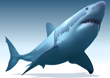 Great White Shark Vector Images (over 3,900)