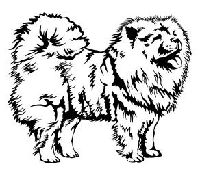 Chow Chows Vector Images (over 1,200)