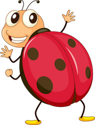 Cartoon funny ladybug Royalty Free Vector Image