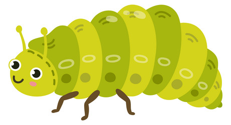 Realistic insects on white background cartoon Vector Image