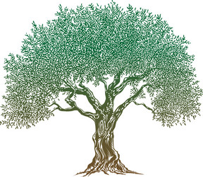 Olive Tree Vector Images (over 130,000)