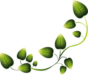 Creeper Plant Vector Images (over 2,100)