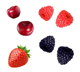 Raspberry fruit set cartoon Royalty Free Vector Image