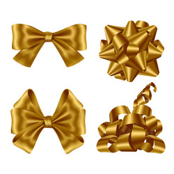 Satin bows set Royalty Free Vector Image - VectorStock