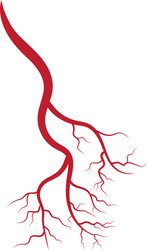 Human veins and arteries Royalty Free Vector Image