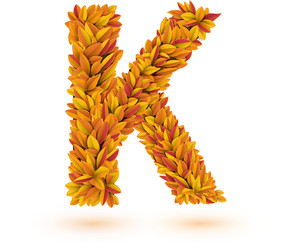 Autumn stylized alphabet letter n Royalty Free Vector Image