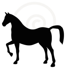 Workhorse Vector Images (over 150)