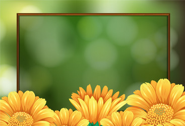 Frame template with yellow flowers Royalty Free Vector Image