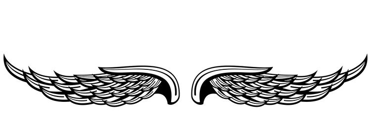 Wings ink drawing bird feathers black tattoo Vector Image