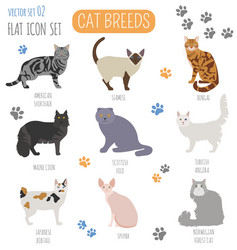 Cat breeds icon set flat style Royalty Free Vector Image