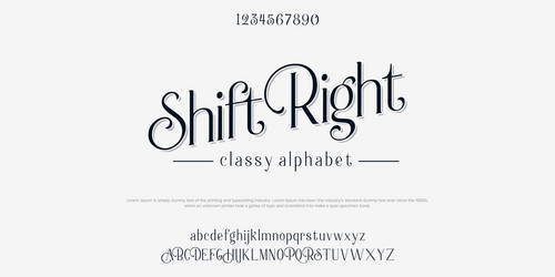 Custom font bundle script serif alphabet Vector Image