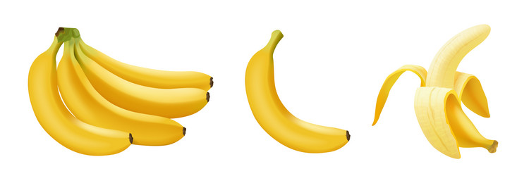Set realistic banana branch bananas Royalty Free Vector