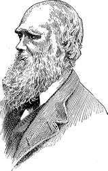 Famous naturalist charles darwin Royalty Free Vector Image