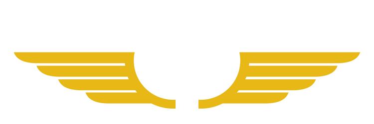 A vintage background frame with golden ornament Vector Image